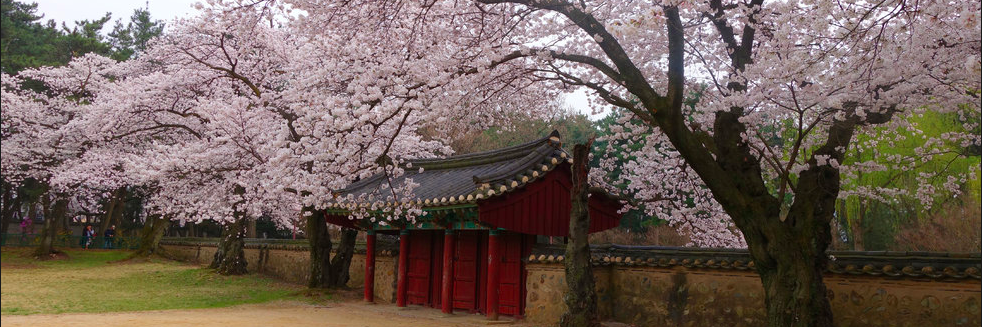 Khu Lăng Mộ Daereungwon (Deareungwon) Gyeongju, Hàn Quốc
