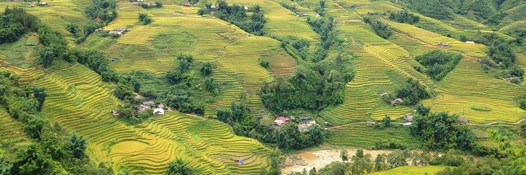 Bản Ý Linh Hồ (Y Linh Ho Village) - Sapa Lào Cai, Việt Nam
